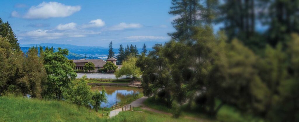 Yoga Retreats & Personal Retreats - Mount Madonna California