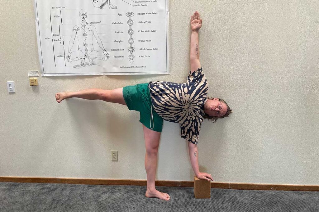 Advanced Yoga Studies YTT 300 - Mount Madonna, California
