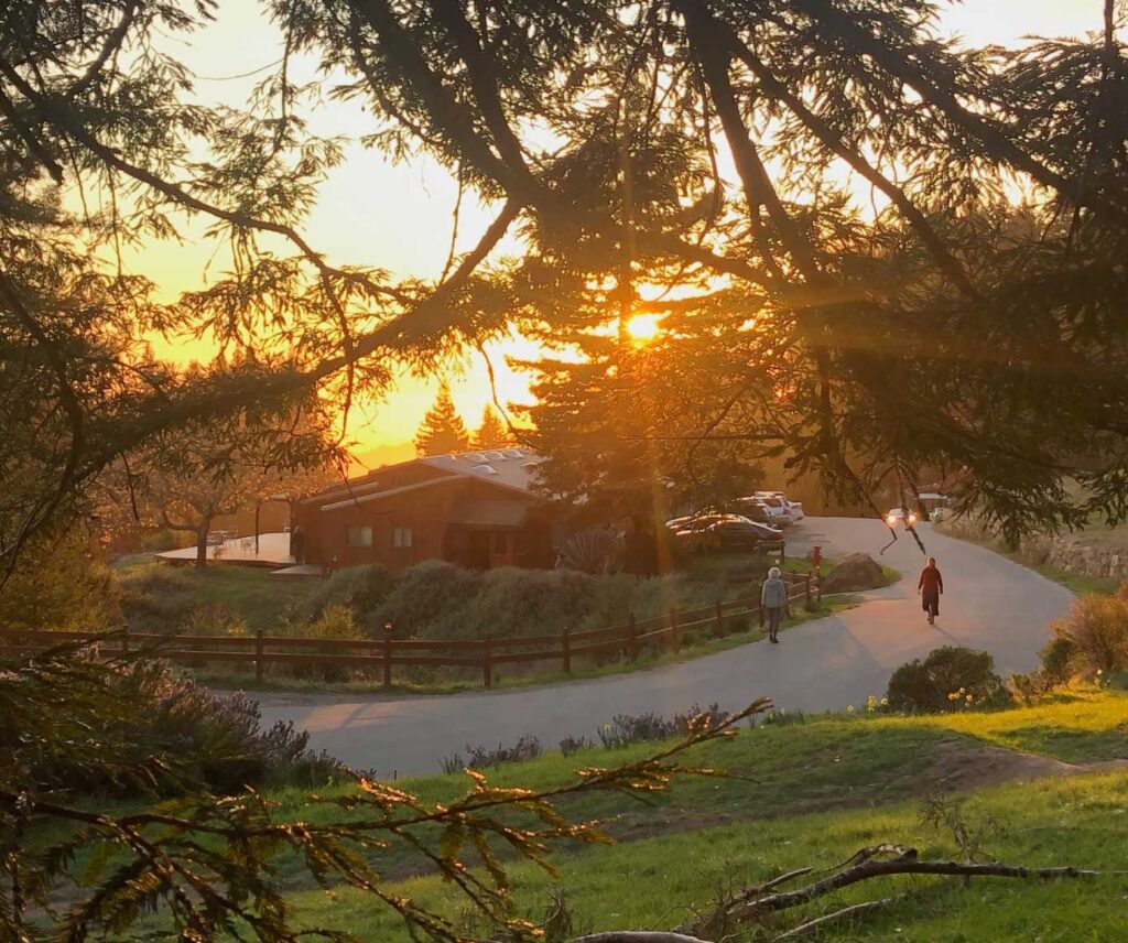 The Land - Our Campus - Mount Madonna