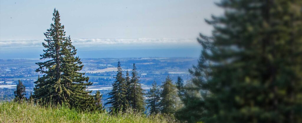 Contact - Mount Madonna