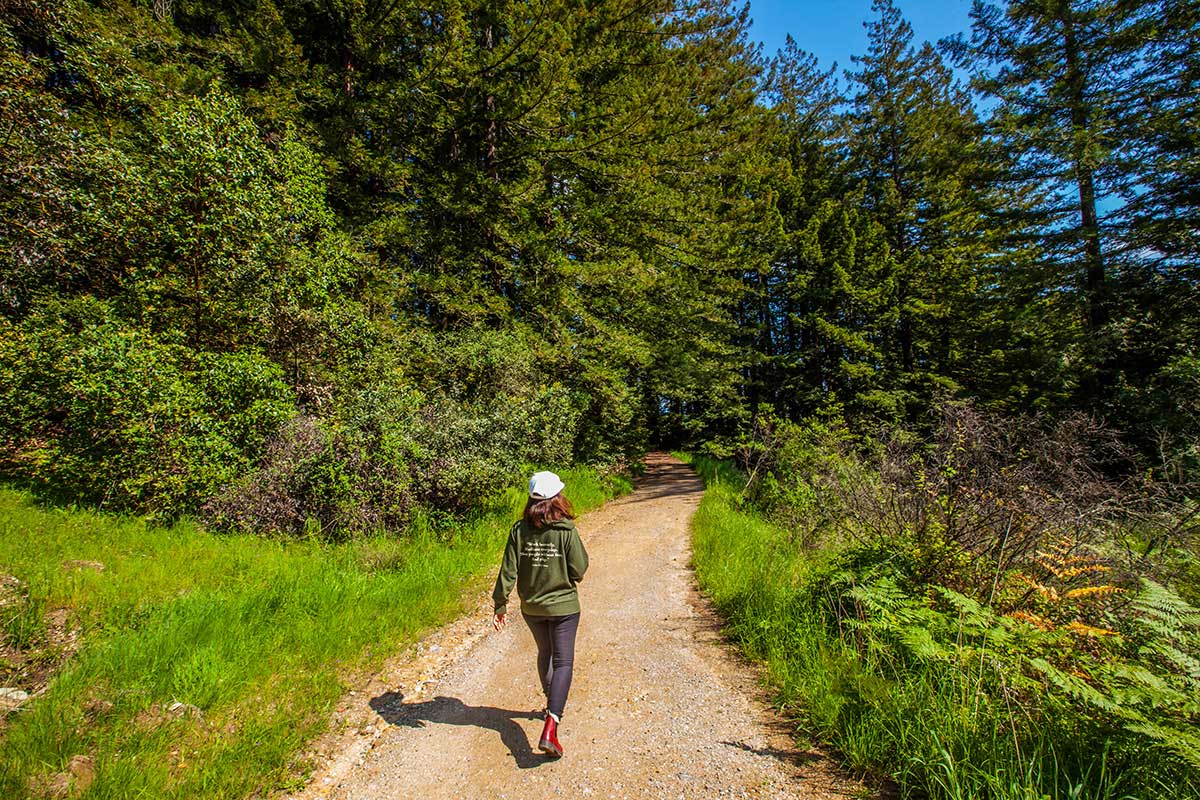 Personal Retreats - Mount Madonna