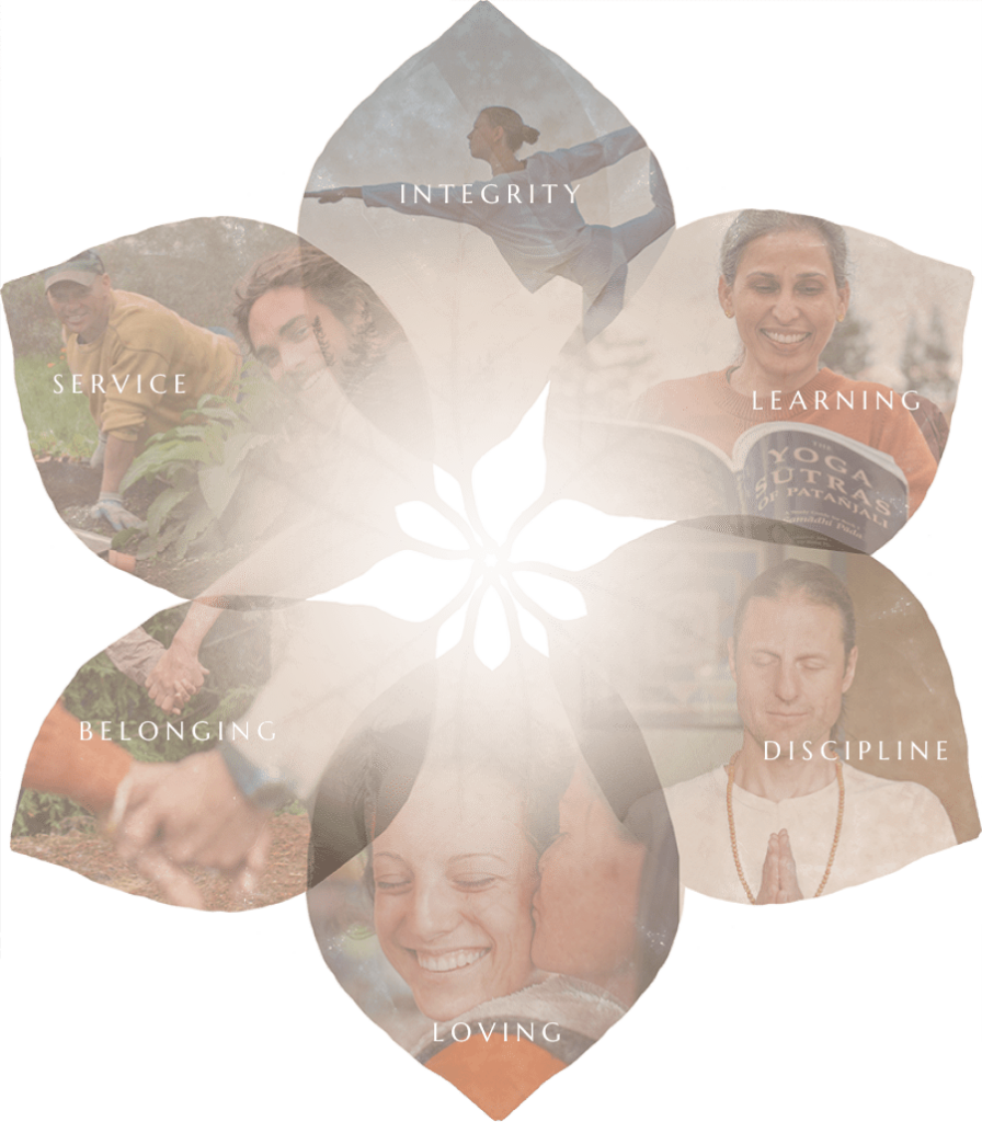 Volunteer Opportunities | A Transformative Experience Awaits