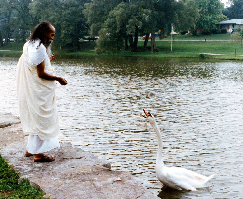 Baba Hari Dass - Mount Madonna