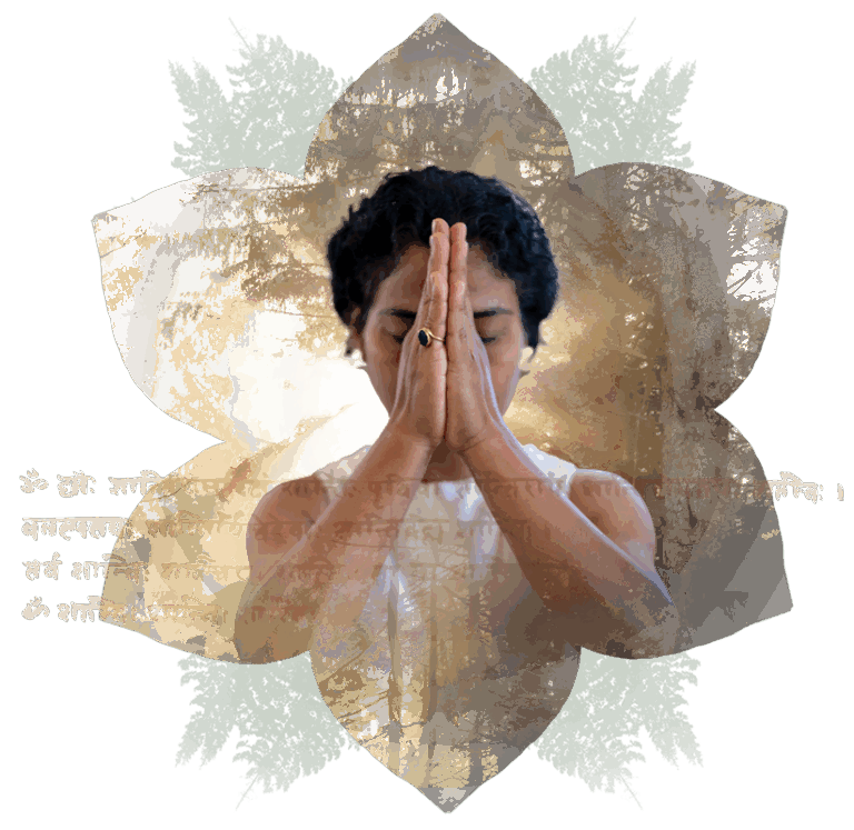 Membership - Mount Madonna